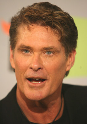 David Hasselhoff picture