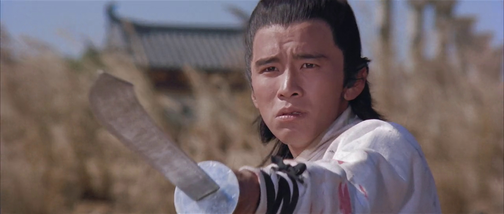 Picture of The New One-Armed Swordsman