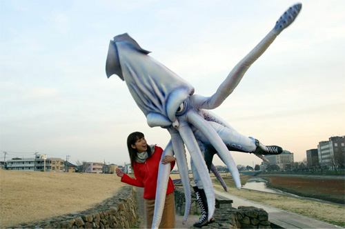 The Calamari Wrestler picture