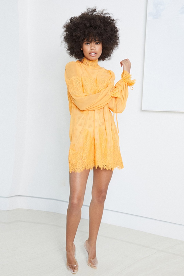 Picture of Nereyda Bird