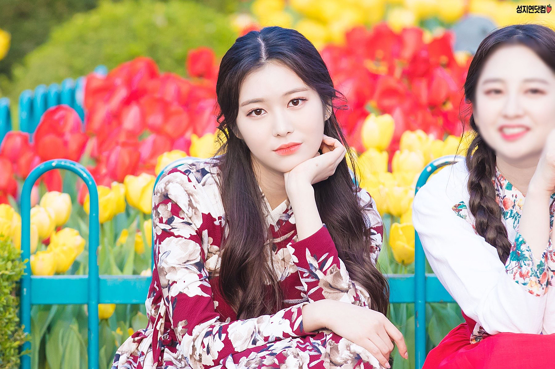Picture of Jane (Momoland)