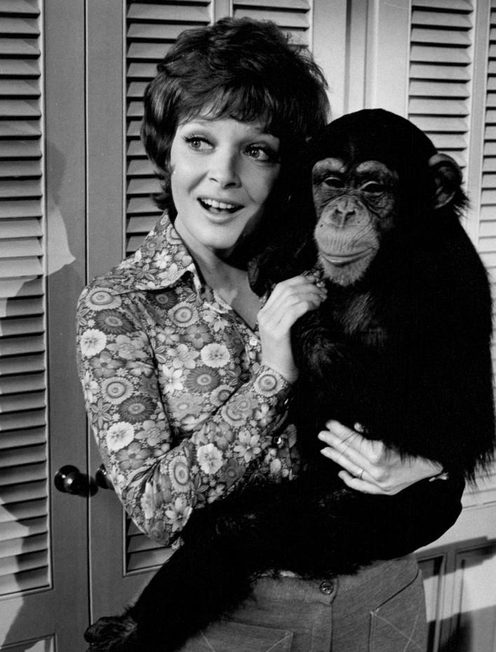 Picture of Anita Gillette