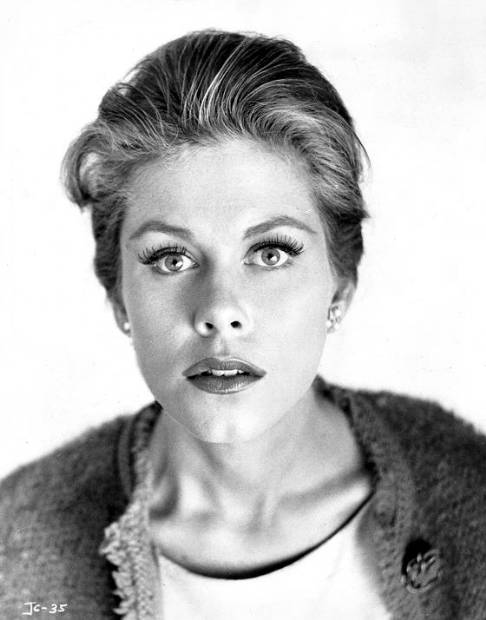 Picture of Elizabeth Montgomery