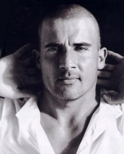 Picture of Dominic Purcell