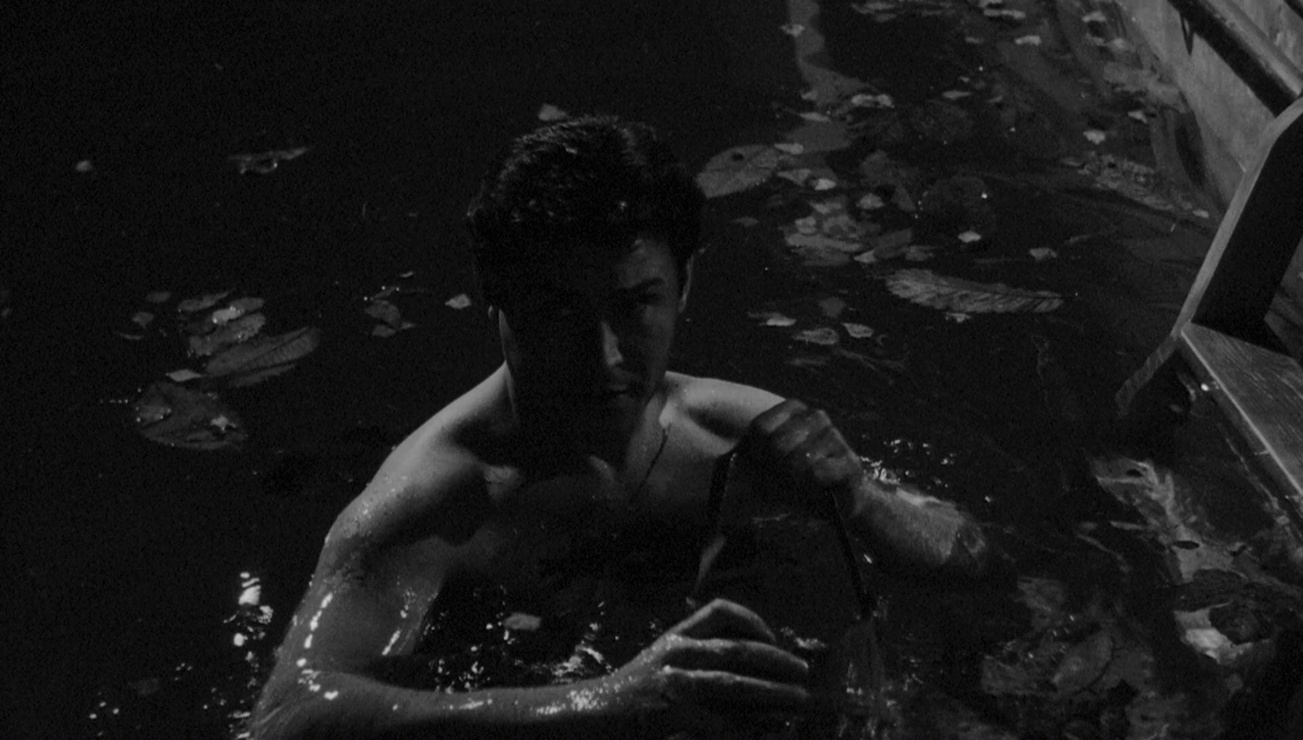 Scream of Fear picture