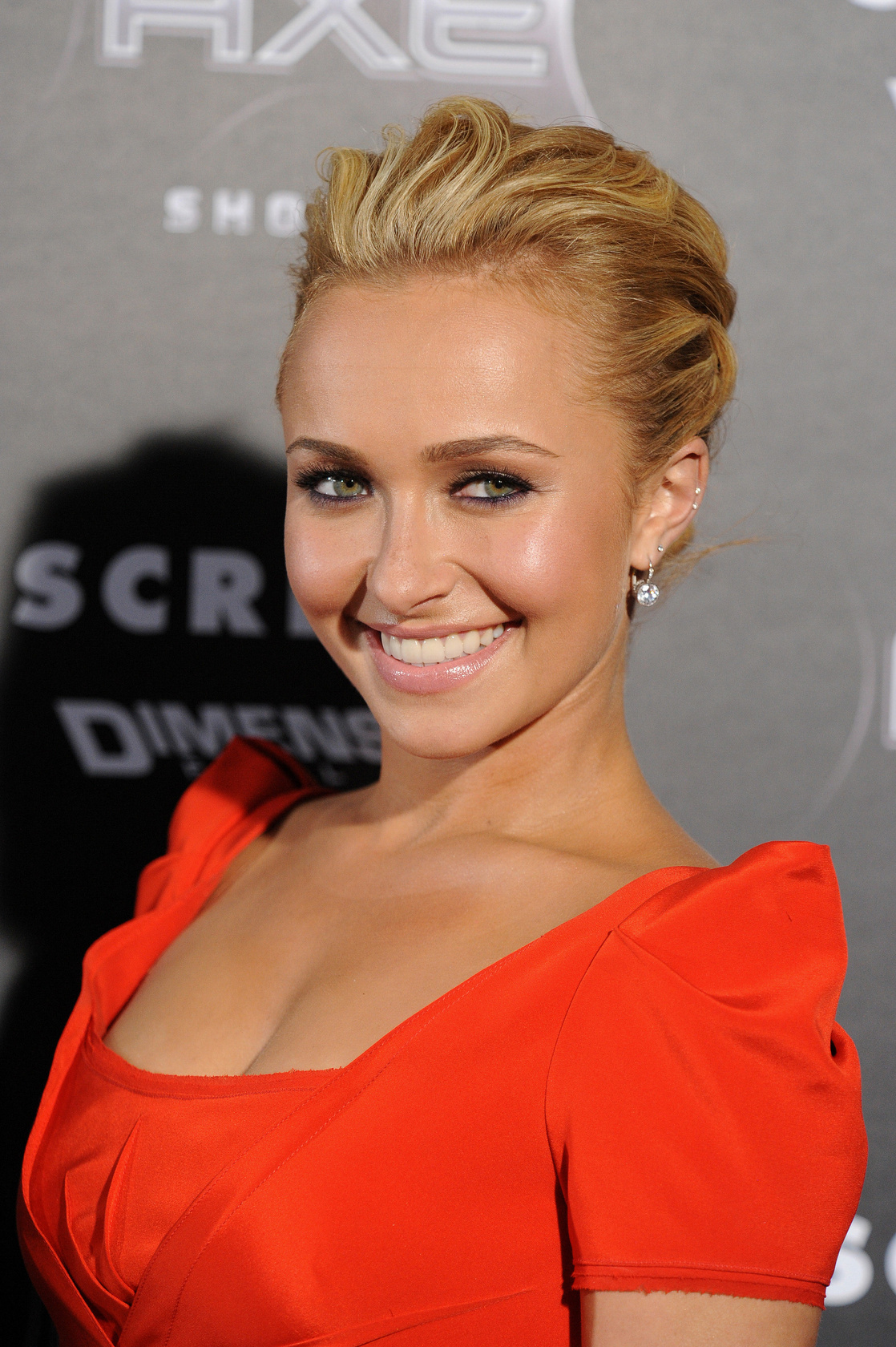 Hayden Panettiere image