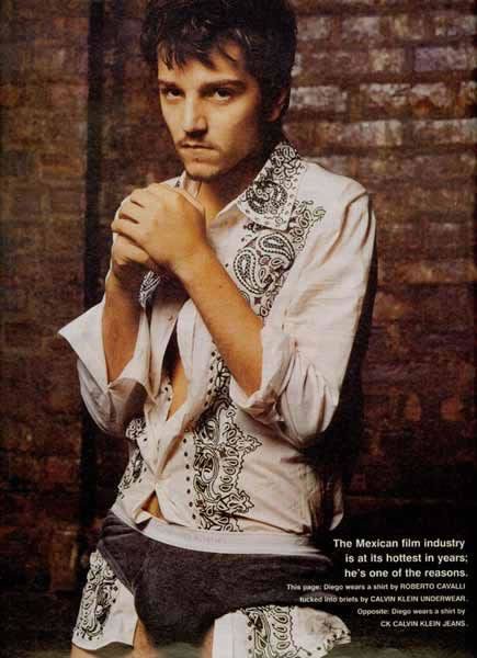 Diego Luna picture