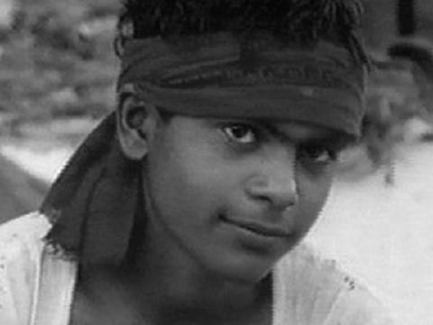 Picture of The Sheep Thief