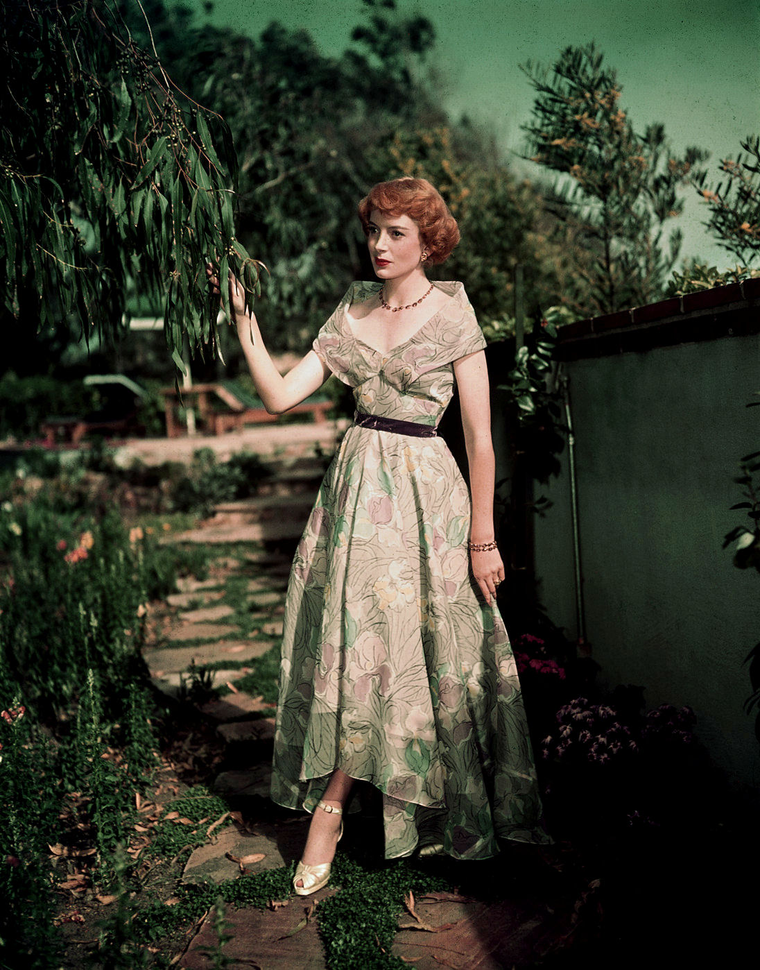 Picture of Deborah Kerr