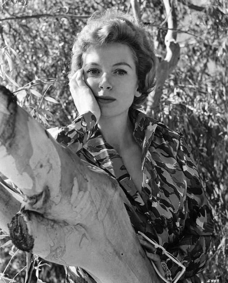 Picture of Deborah Kerr