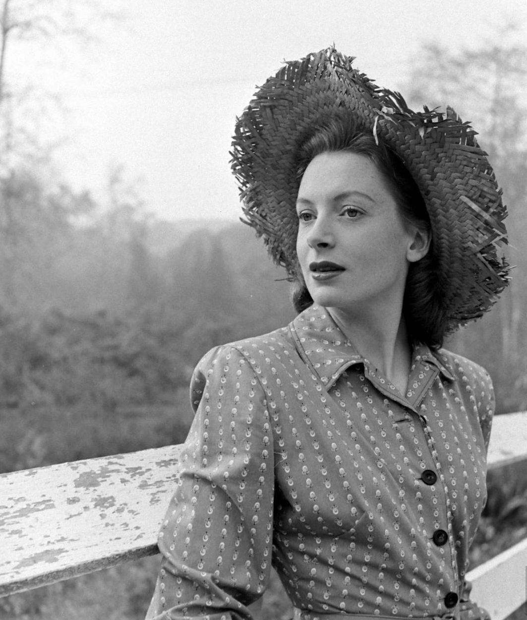 Picture of Deborah Kerr