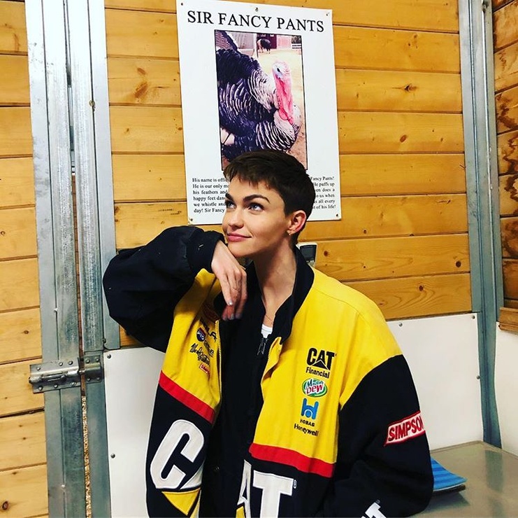 Picture of Ruby Rose