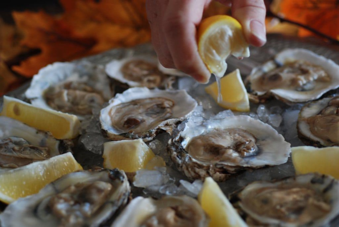 Picture of Oysters on the Half Shell
