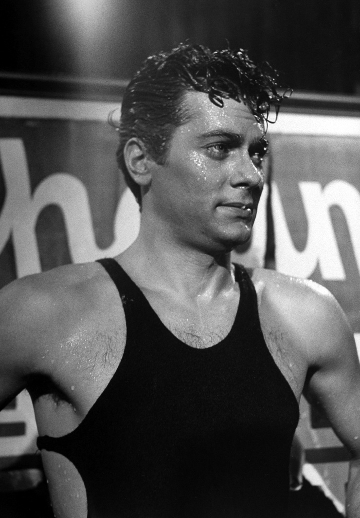 Picture of Tony Curtis