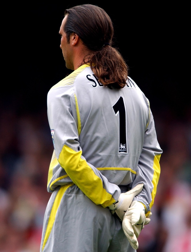 Picture of David Seaman