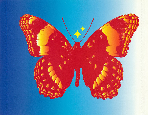 Picture of Under Rug Swept