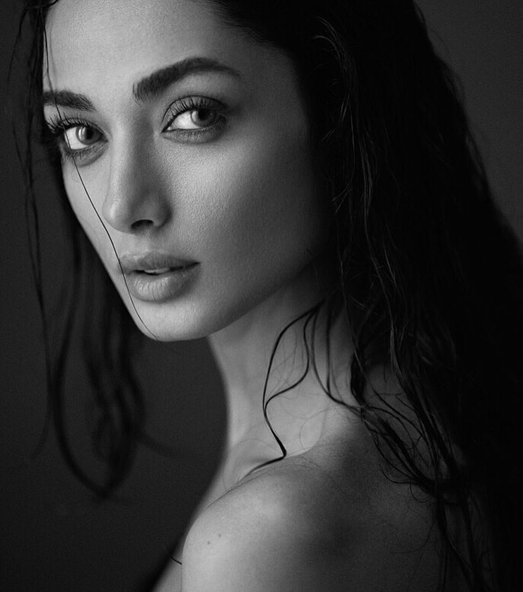 Picture of Shademaneh Mehr
