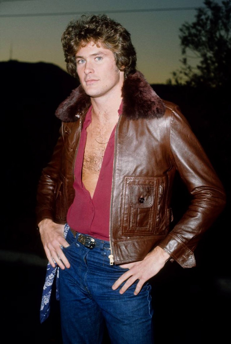 David Hasselhoff picture