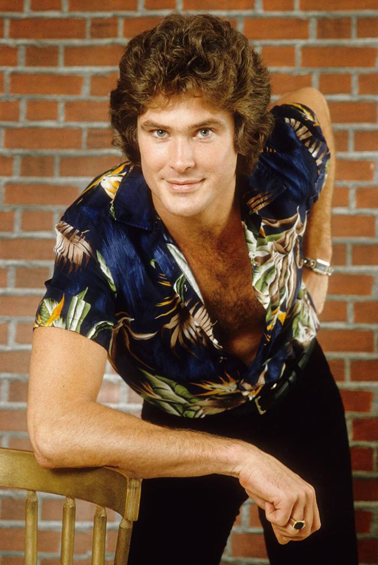 Picture of David Hasselhoff