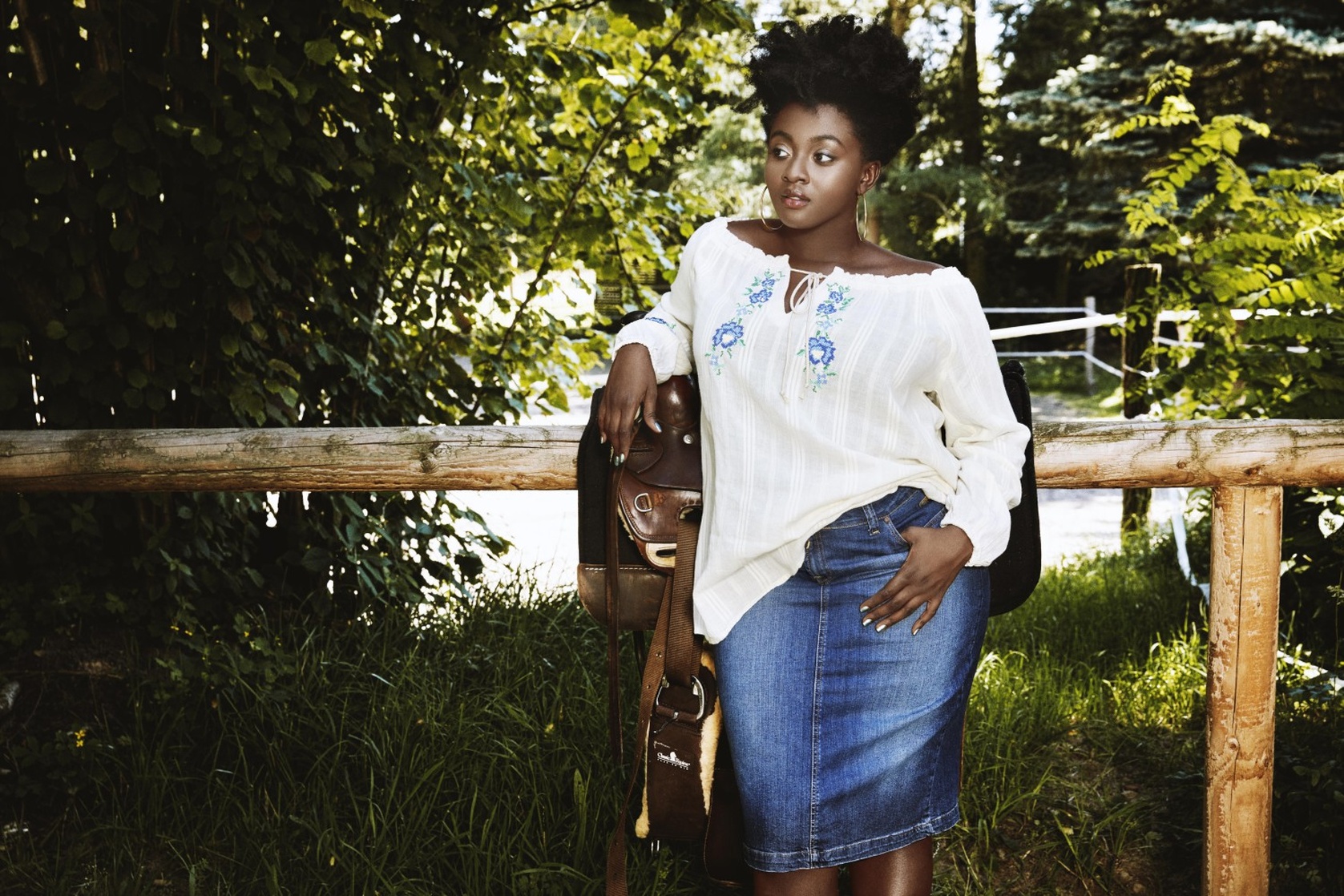 Picture of Endurance Ark