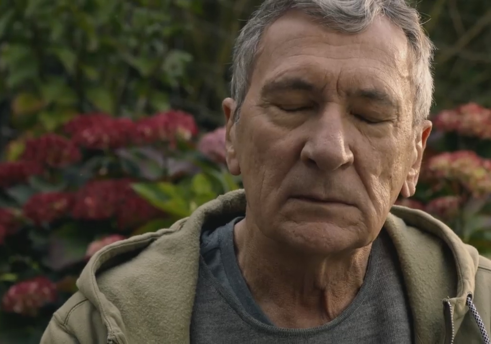 Picture of In Wahrheit: Jette ist tot