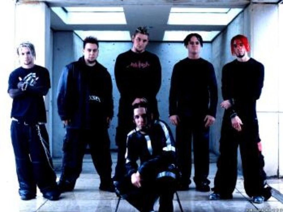 Picture of Crossbreed