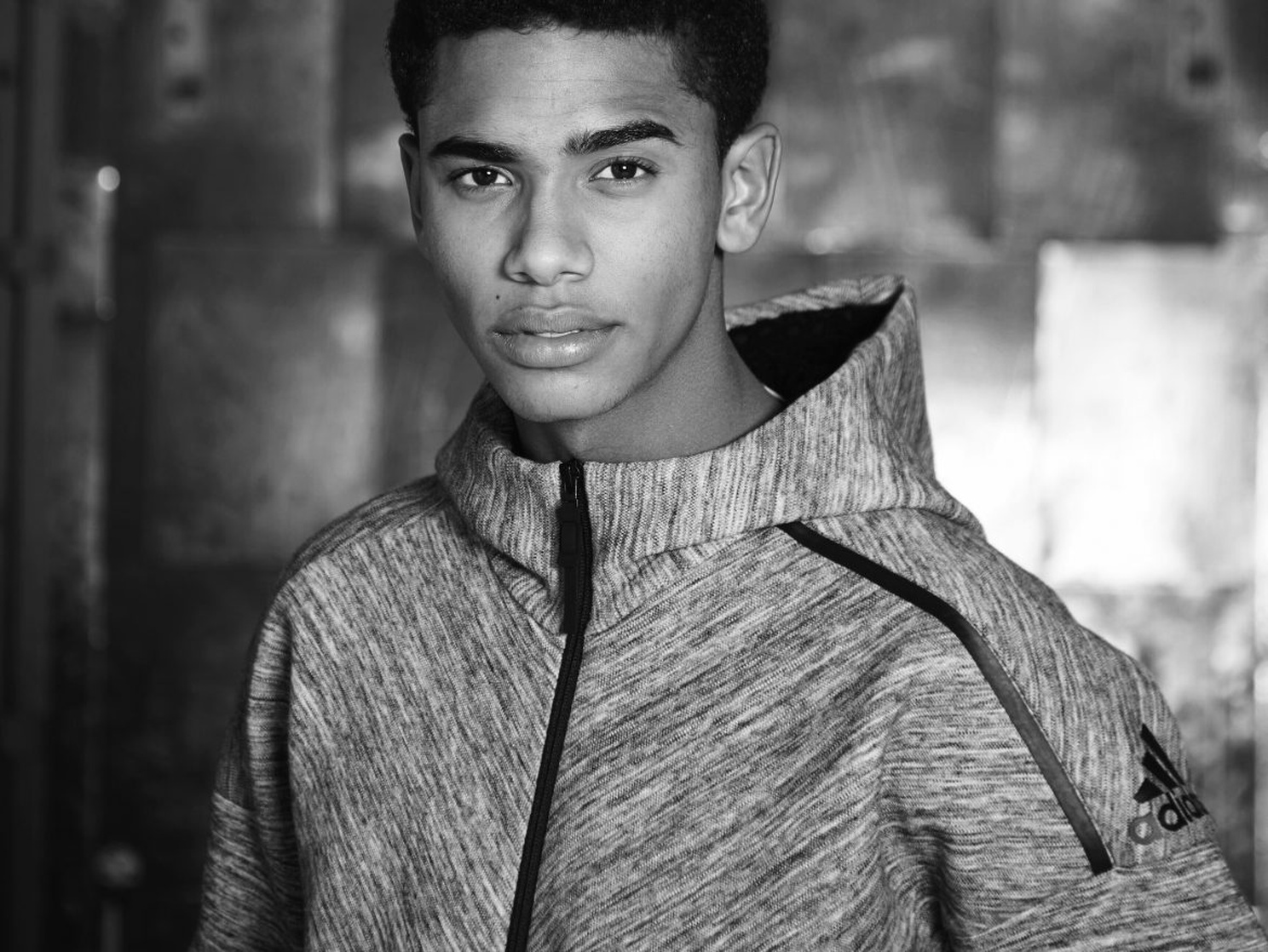 Picture of Daniel Sterk