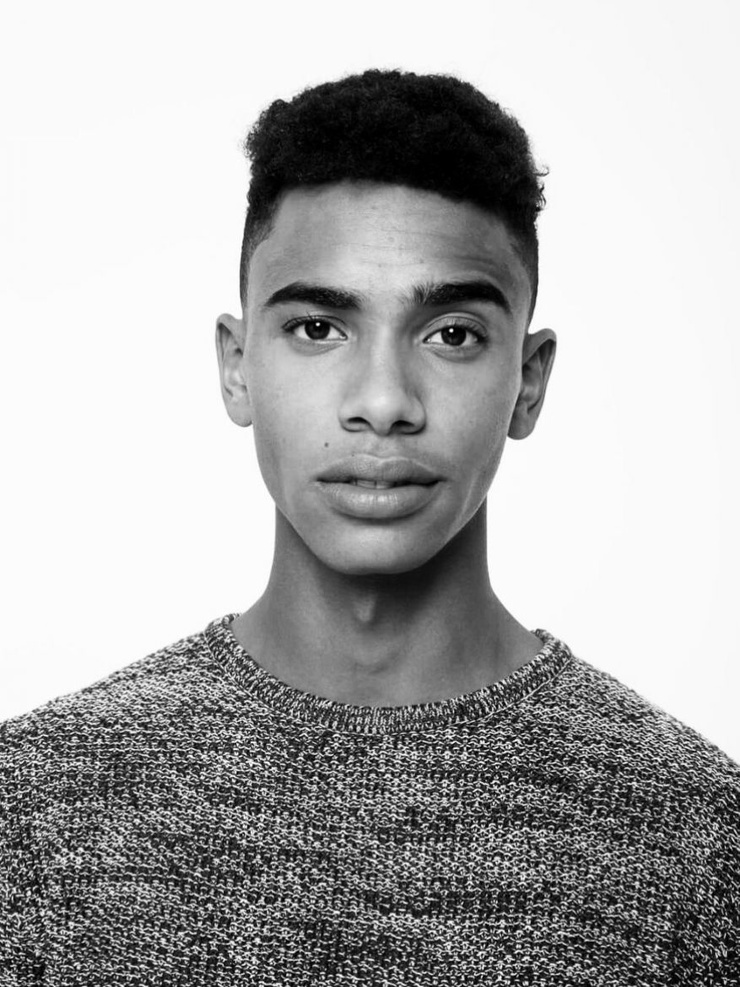 Picture of Daniel Sterk