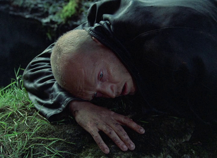 Picture of Stalker (1979)