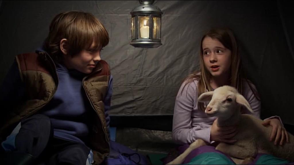 Tiere bis unters Dach image