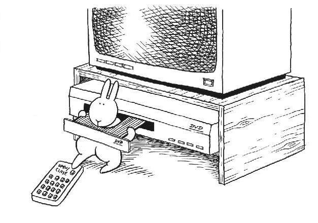 Picture of Andy Riley