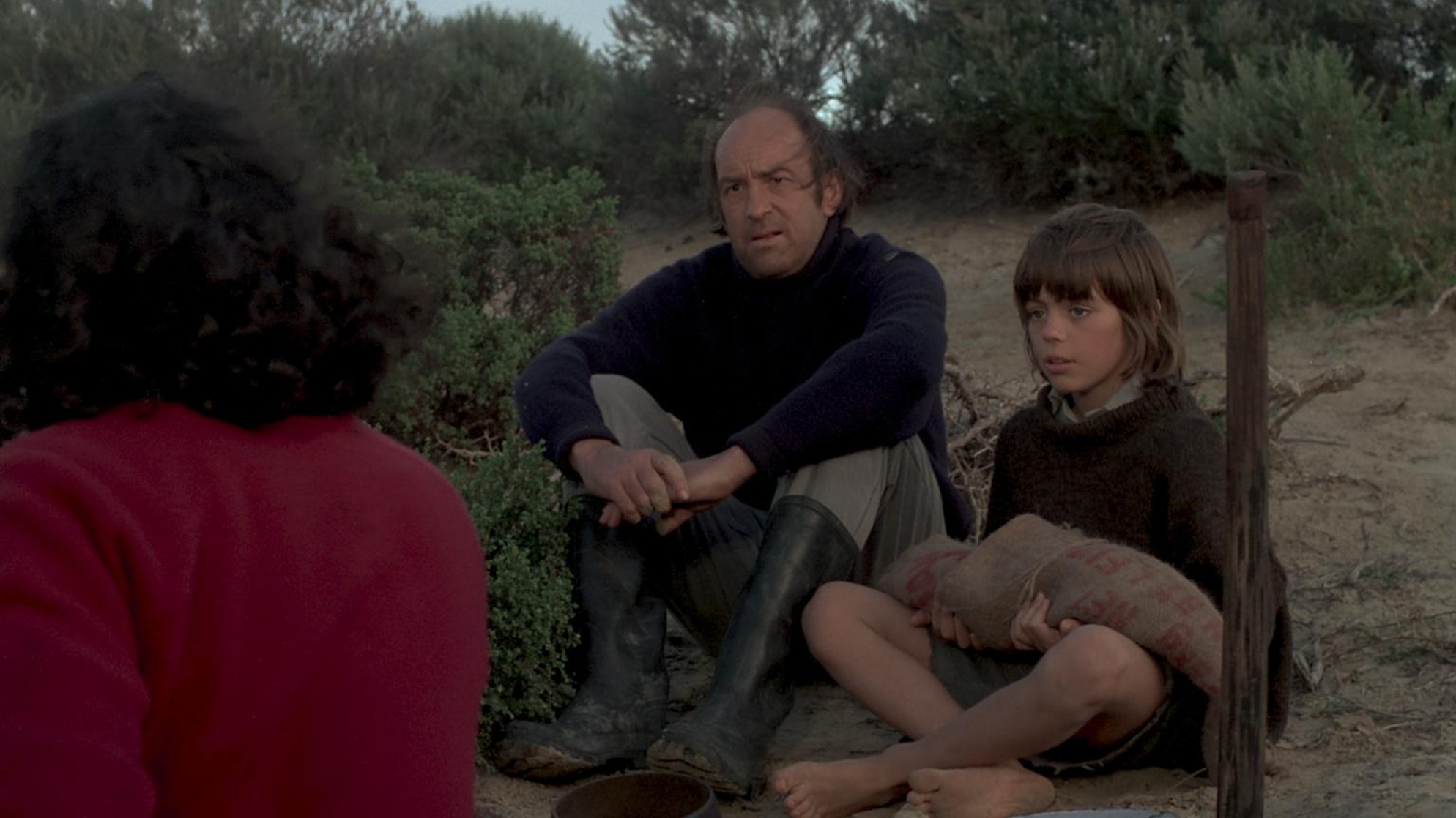 Storm Boy (1976) image