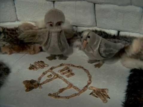 Picture of The Owl and the Raven: An Eskimo Legend