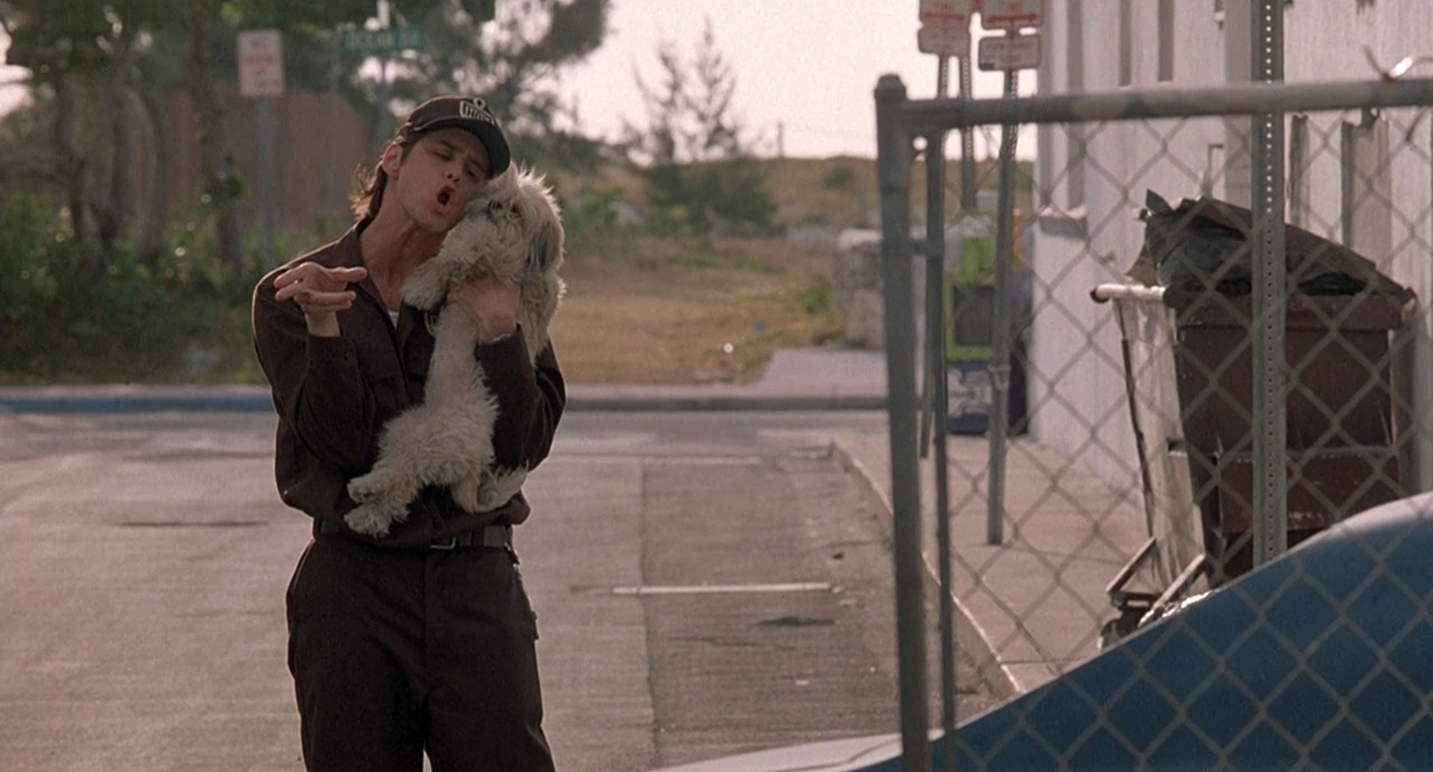 Picture of Ace Ventura: Pet Detective
