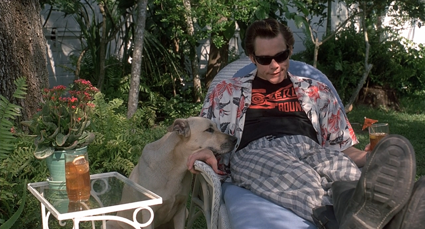 Image of Ace Ventura: Pet Detective