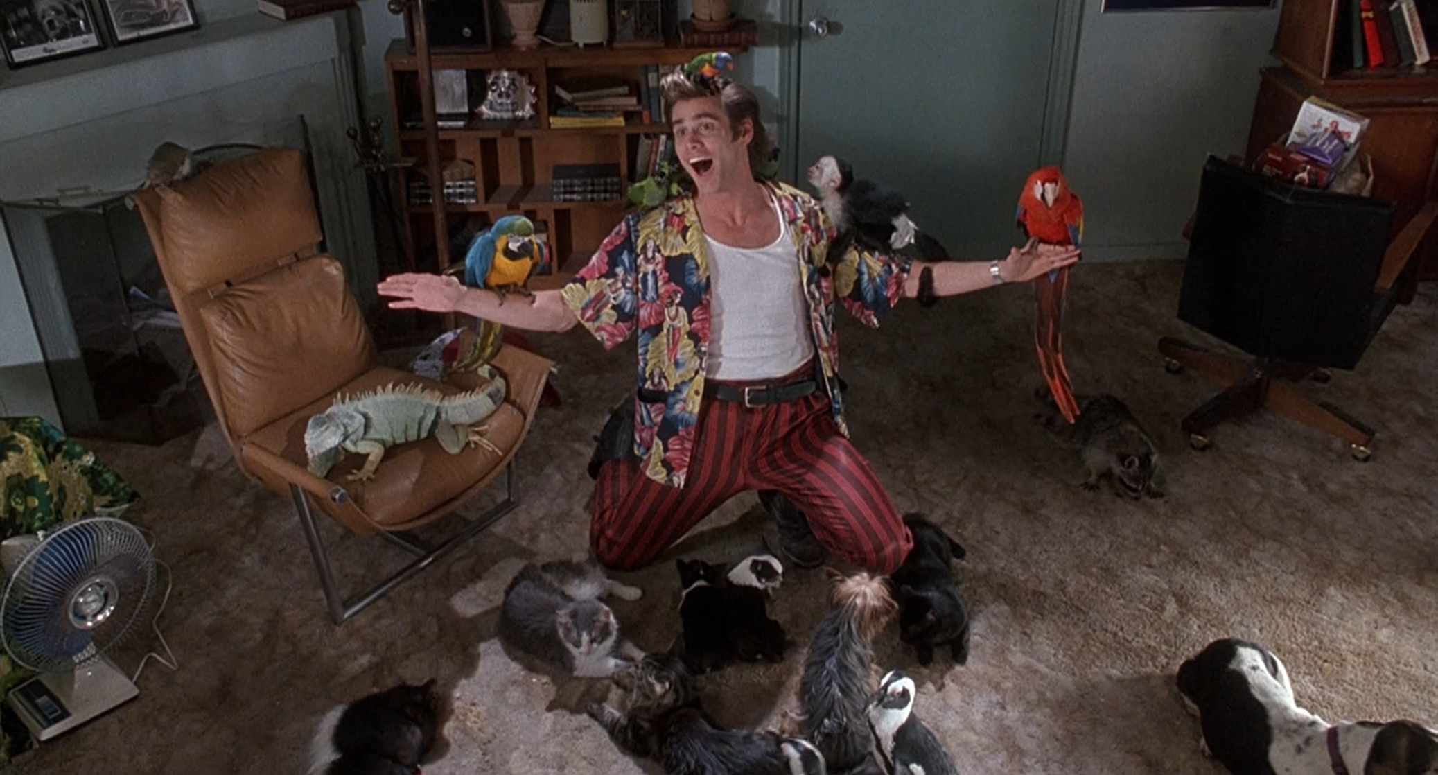 Ace Ventura: Pet Detective picture