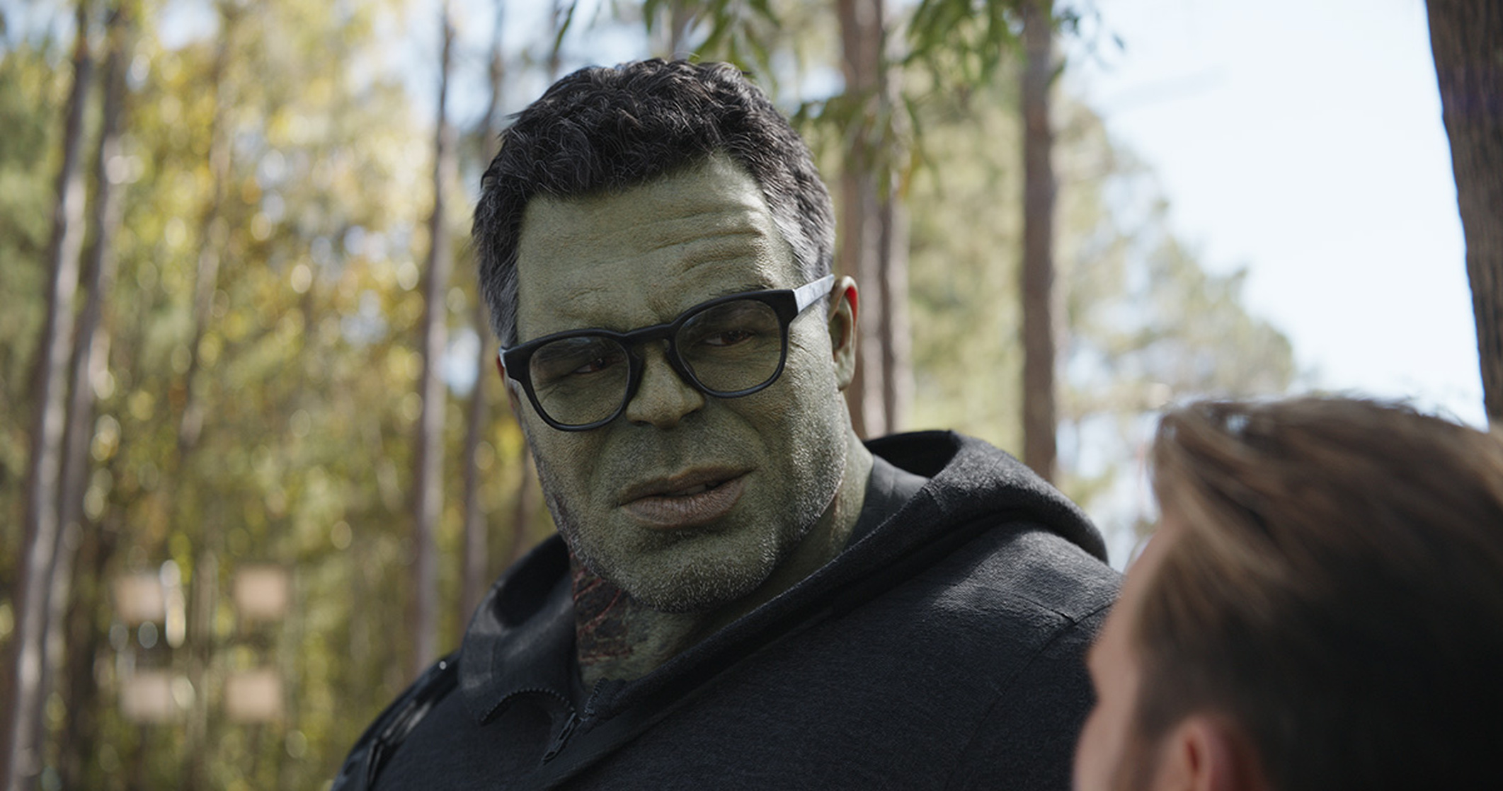 Picture of Bruce Banner / Hulk (Mark Ruffalo)