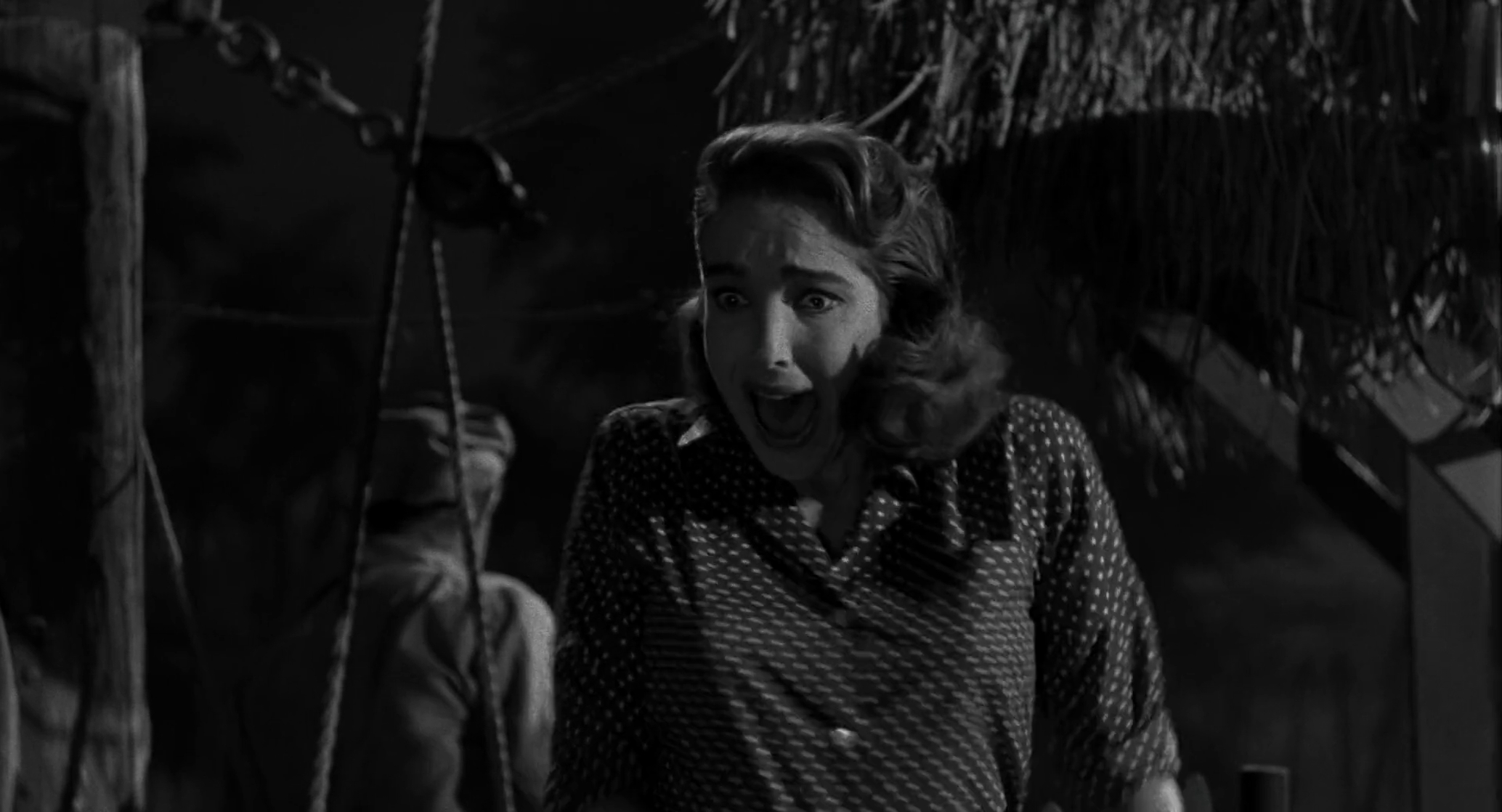 Picture of Creature from the Black Lagoon