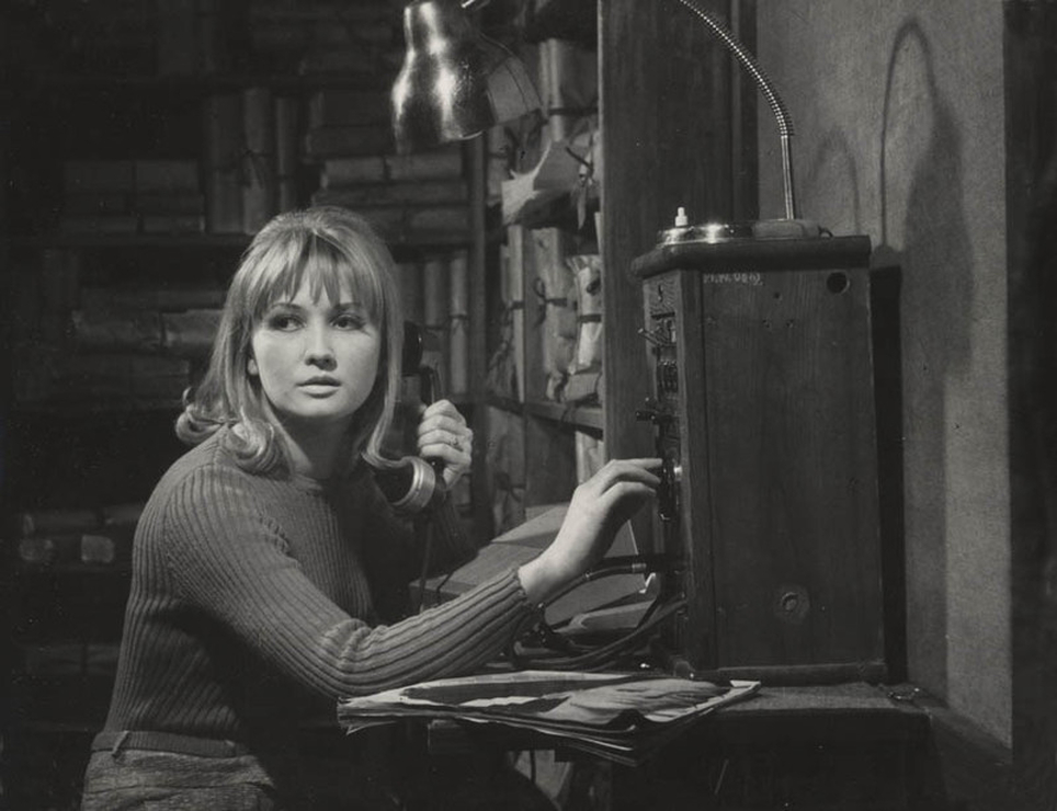 Image of Barbara Soltysik