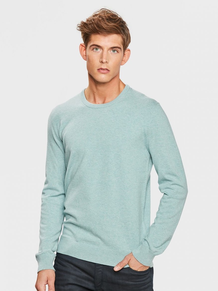 Stijn van Dongen image