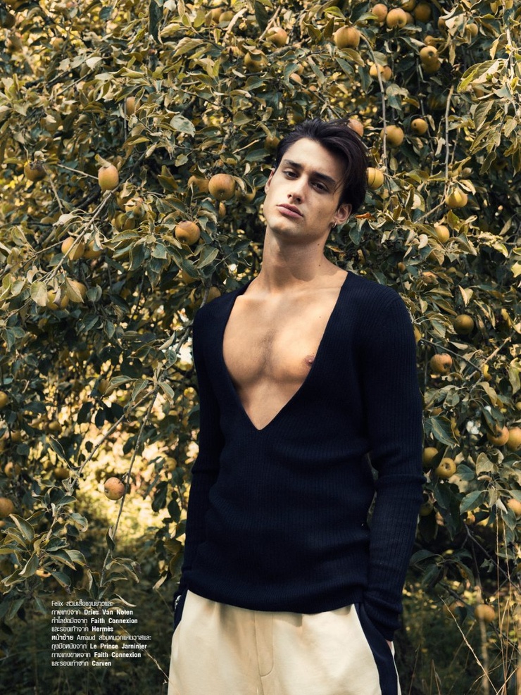 Picture of Felix Cordier