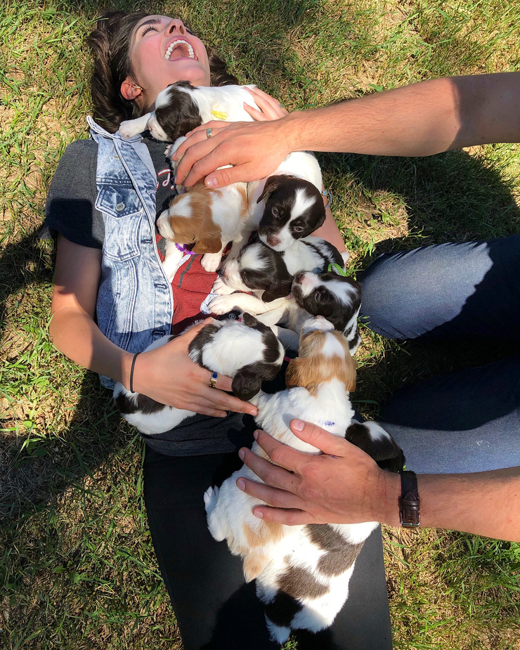 Picture of Paniz Zade