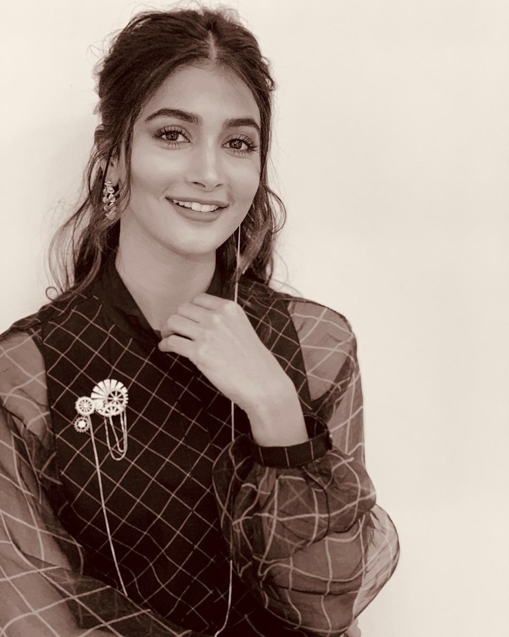Picture of Pooja Hegde