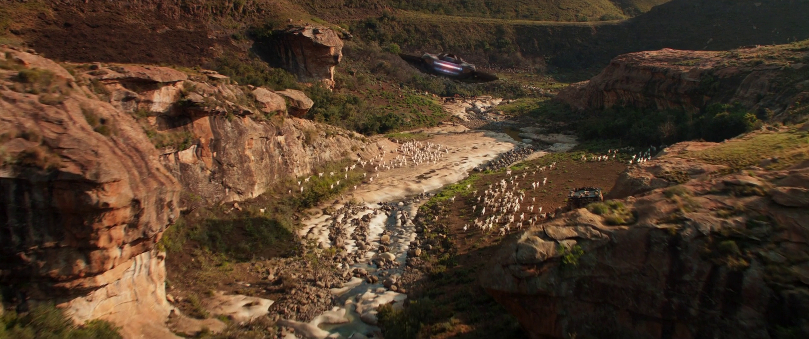 Picture of Black Panther (2018)