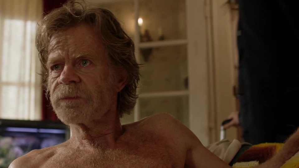 Picture of Shameless (US)