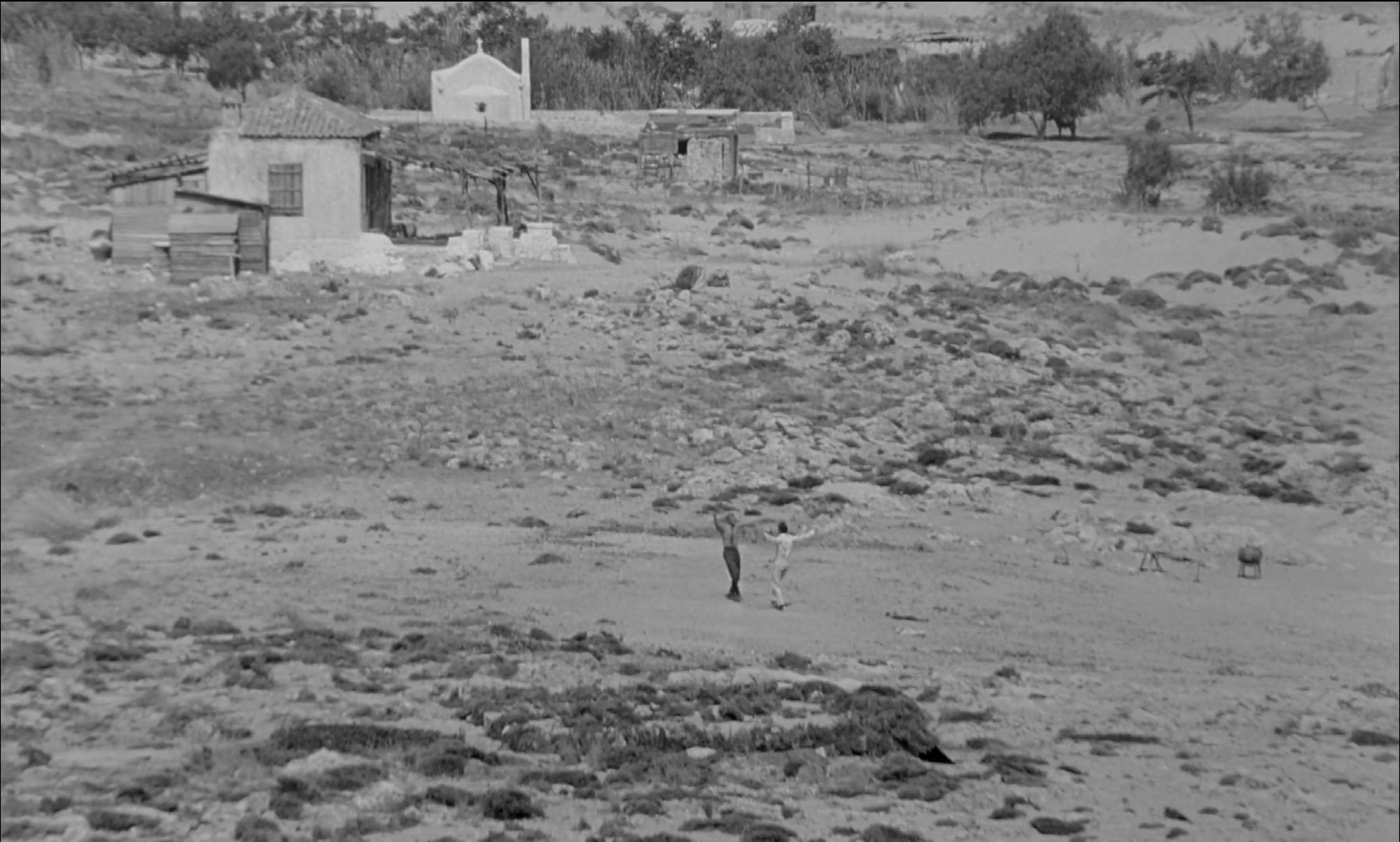 Picture of Zorba the Greek