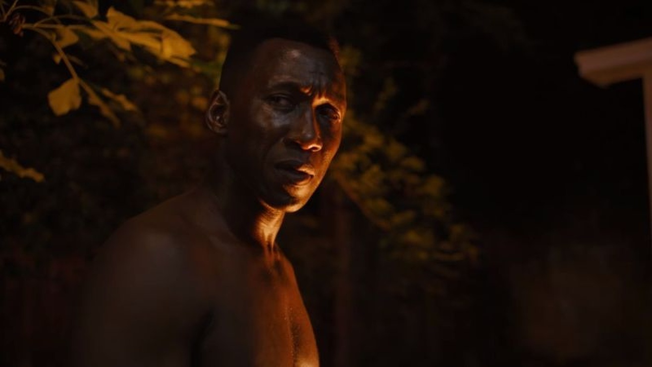 Picture of True Detective