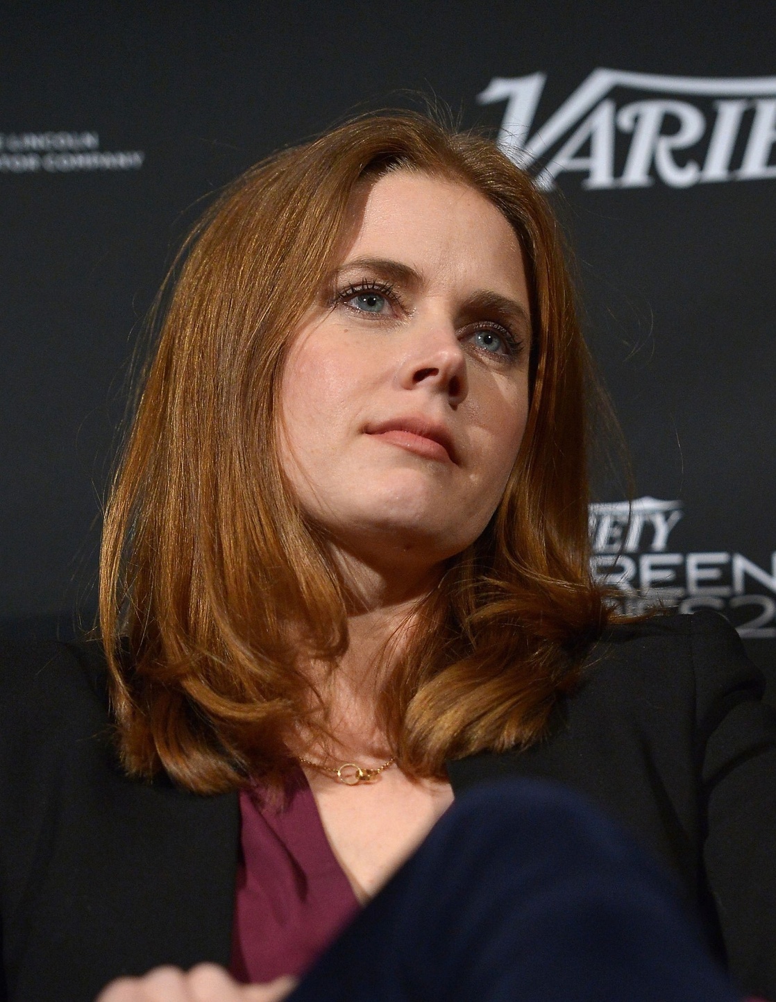 Picture of Amy Adams