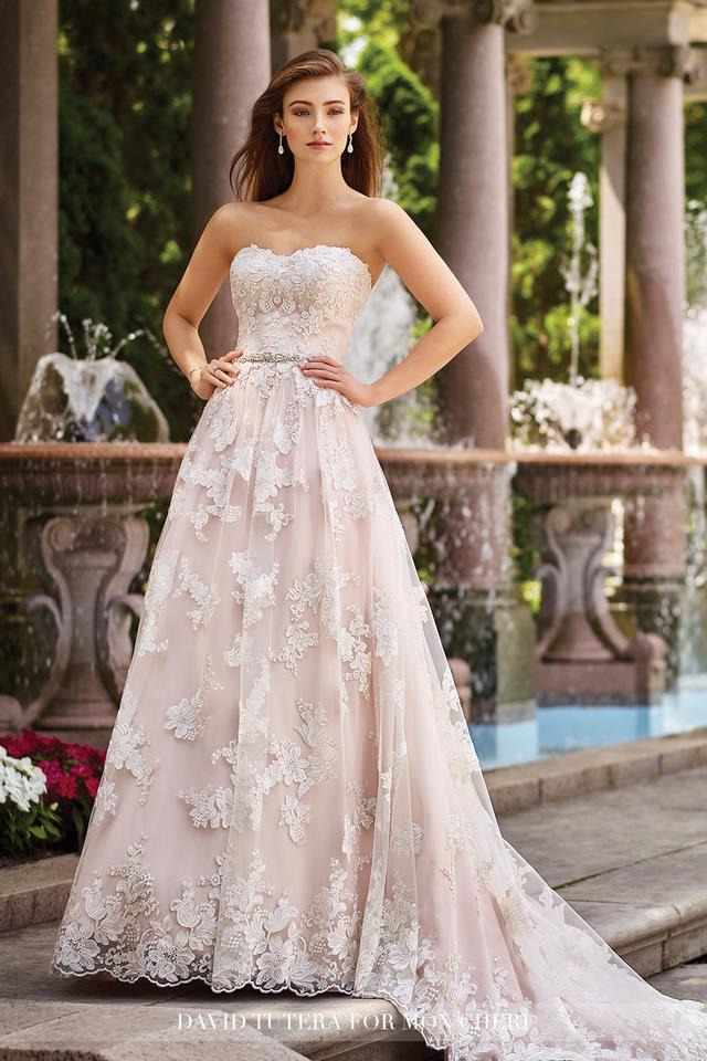 Picture of Lorena RAE