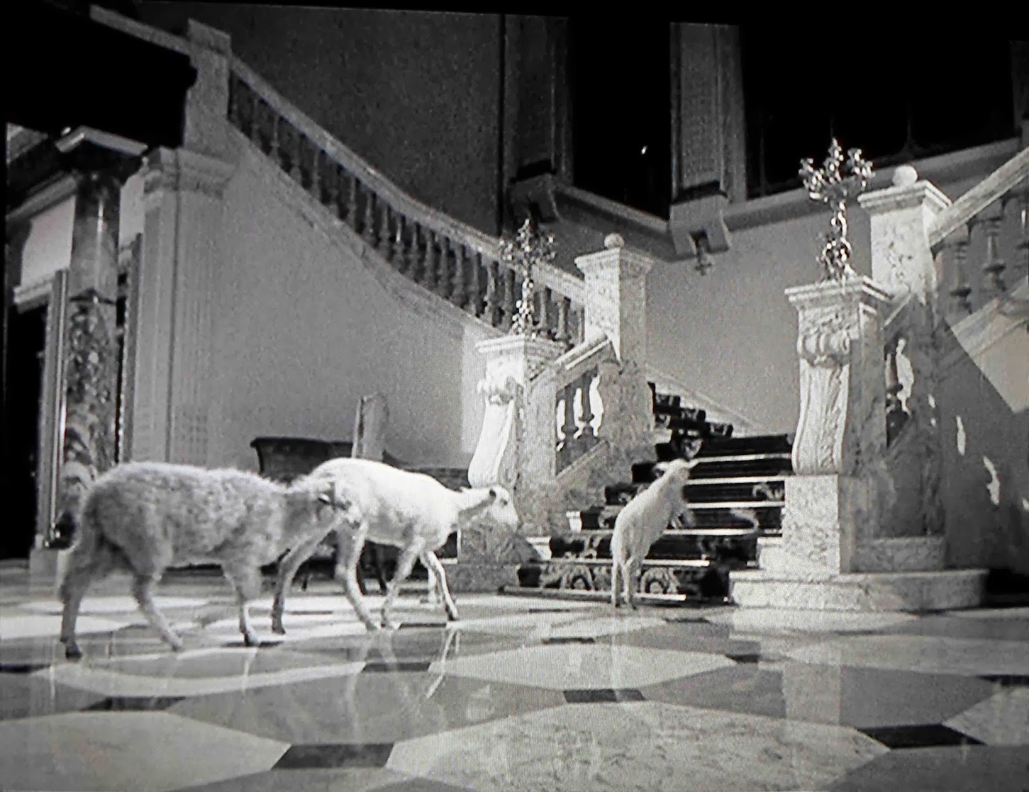 Picture of The Exterminating Angel (1962)